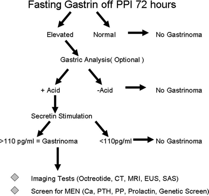The Korean Society of Abdominal Radiology